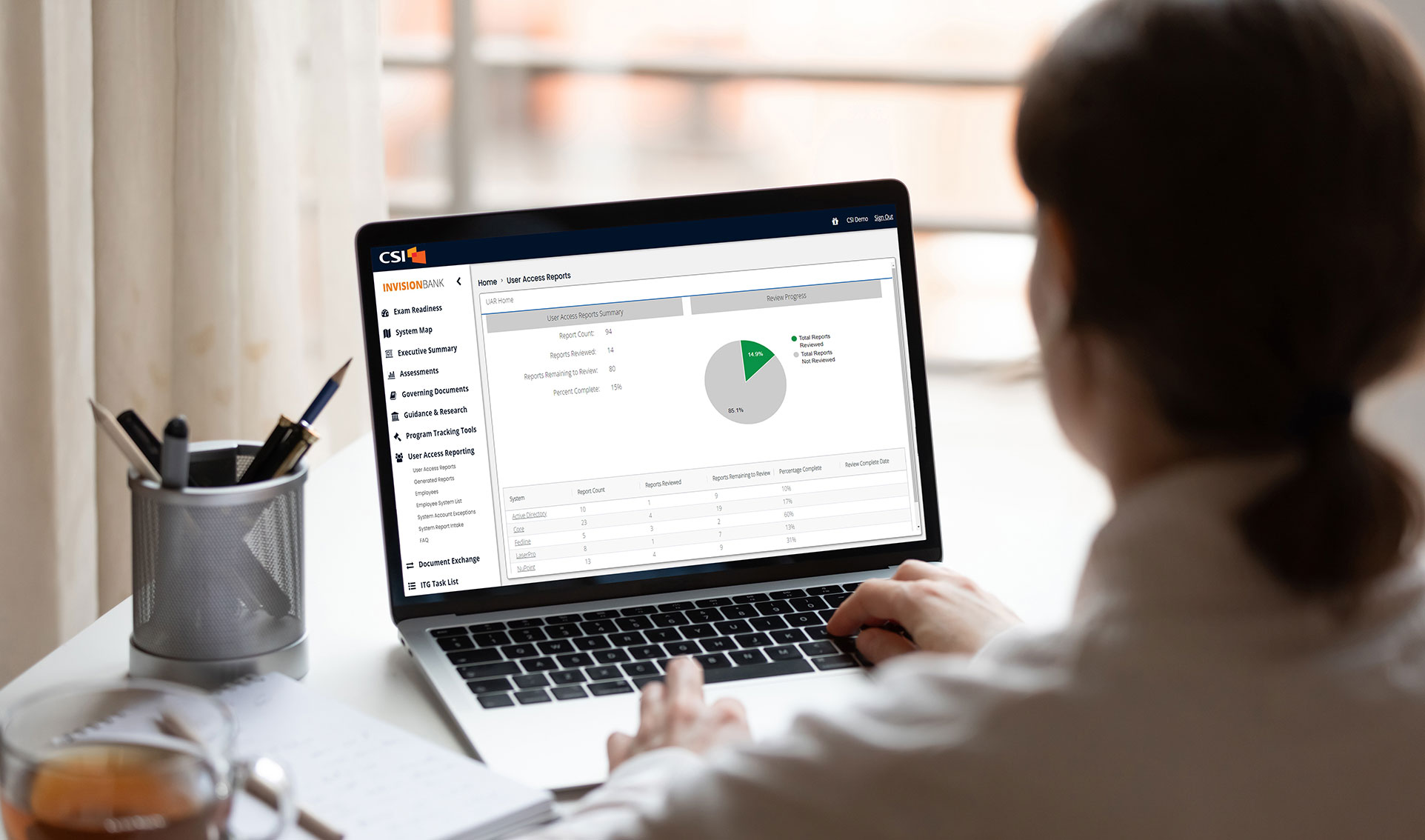 CSI User Access Reporting | CSI